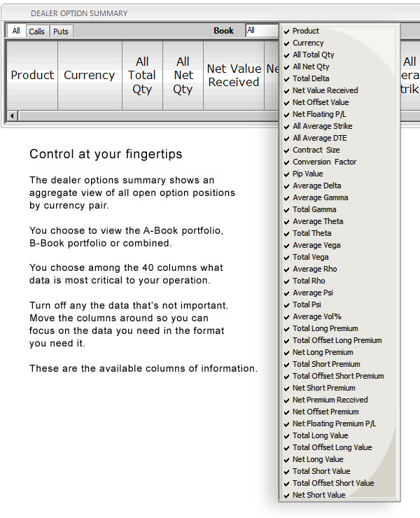 Risk Manager™ Products - FX Bridge Technologies