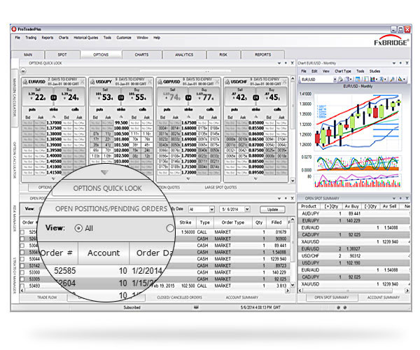 Options Trading - FX Bridge Technologies